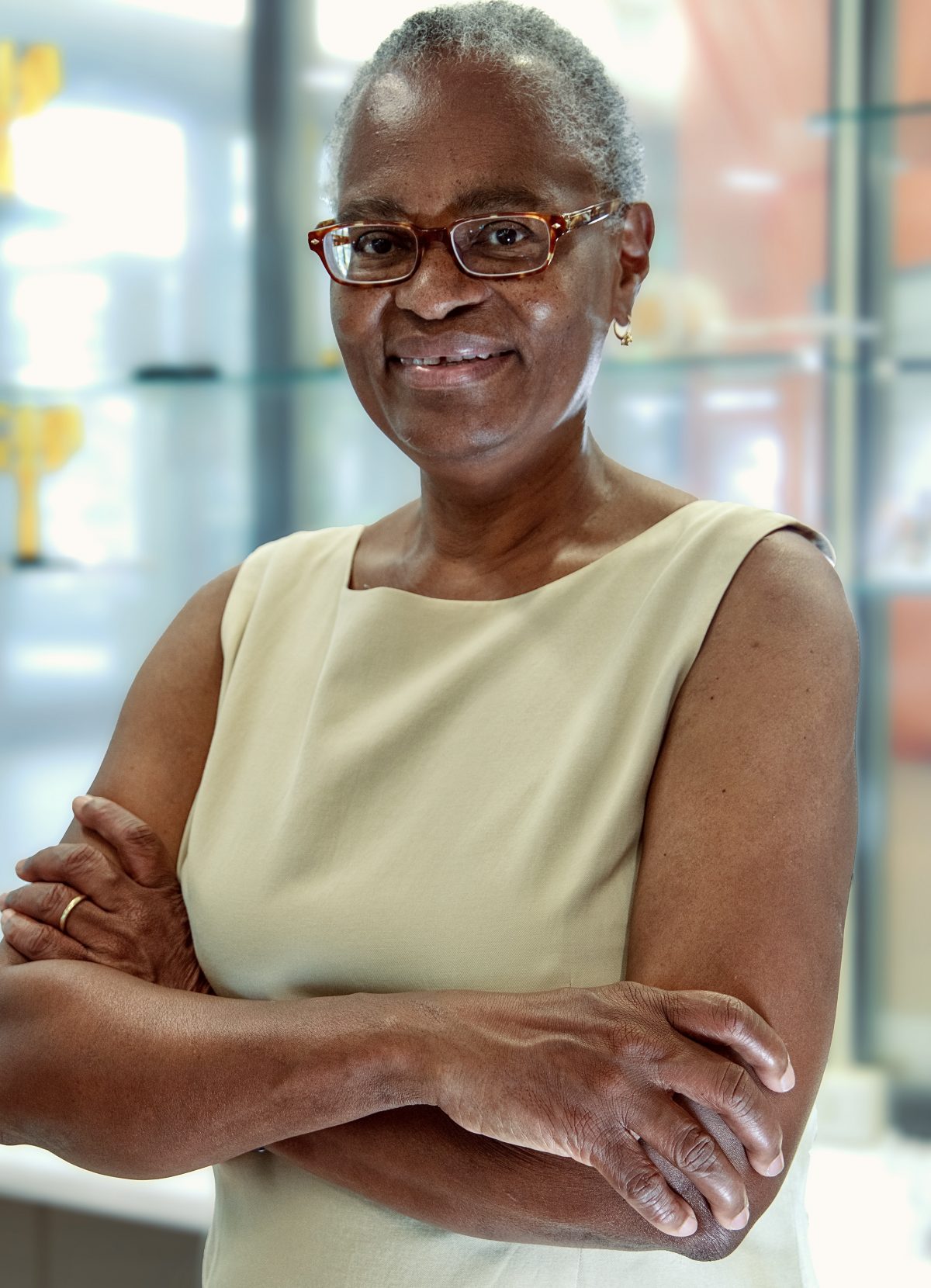 Board of Directors – Imhotep's Legacy Academy (ILA)