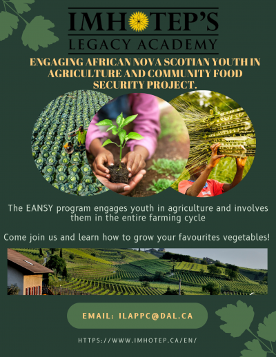 Programs – Imhotep's Legacy Academy (ILA)