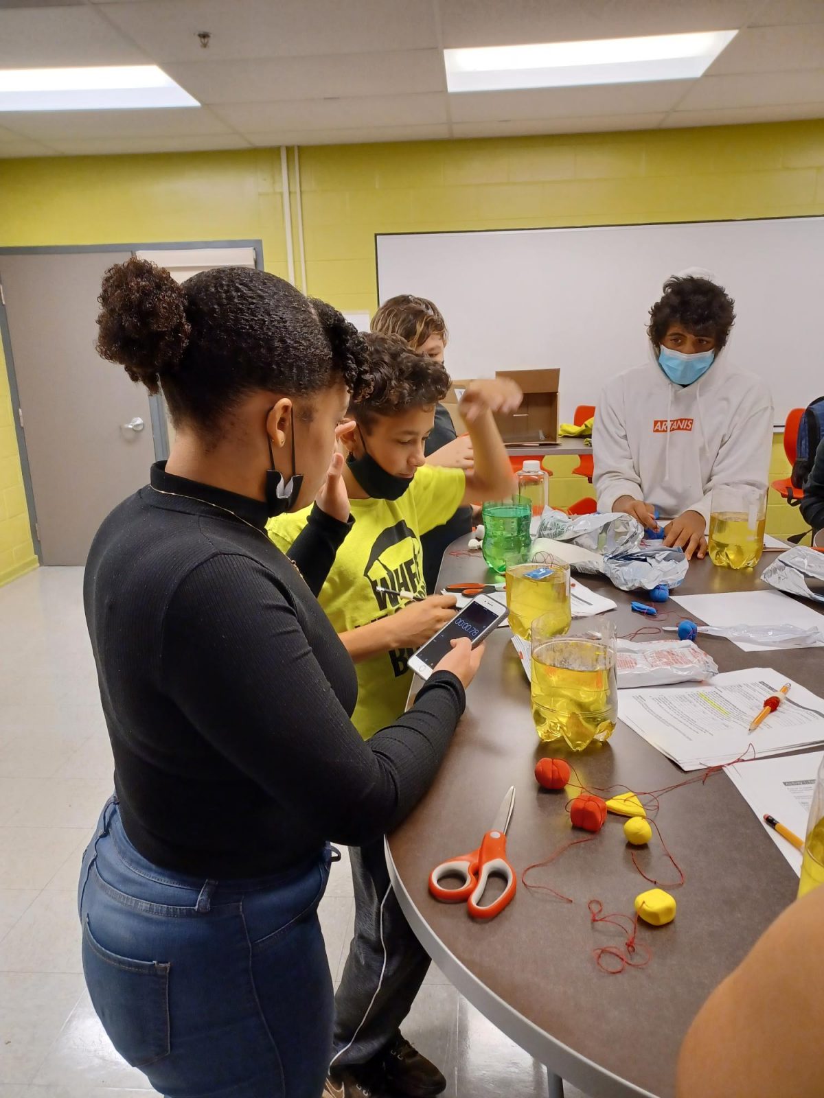 Programs – Imhotep's Legacy Academy (ILA)